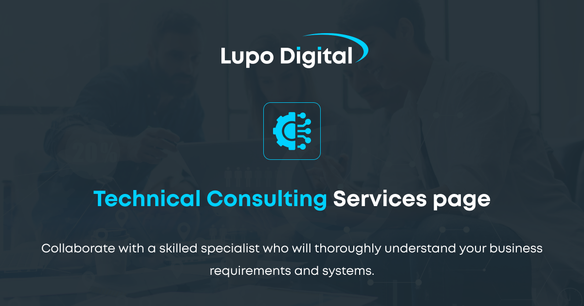 Technical Consulting Services | Lupo Digital